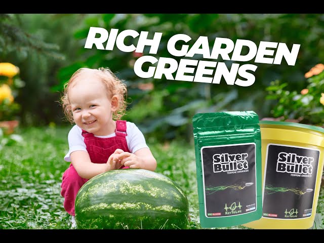 Silver Bullet | Enhance Terpene Content with Sulfur – Key To Life