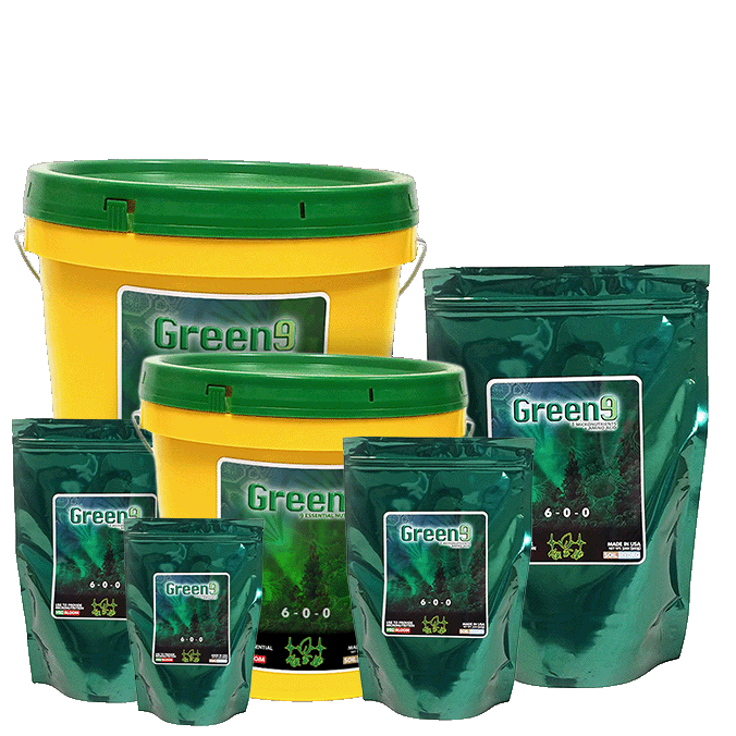 Green9 – Key To Life